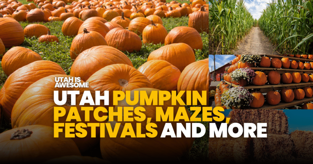 LIST: 2025 pumpkin patches, corn mazes and more fall fun in Utah - Utah ...